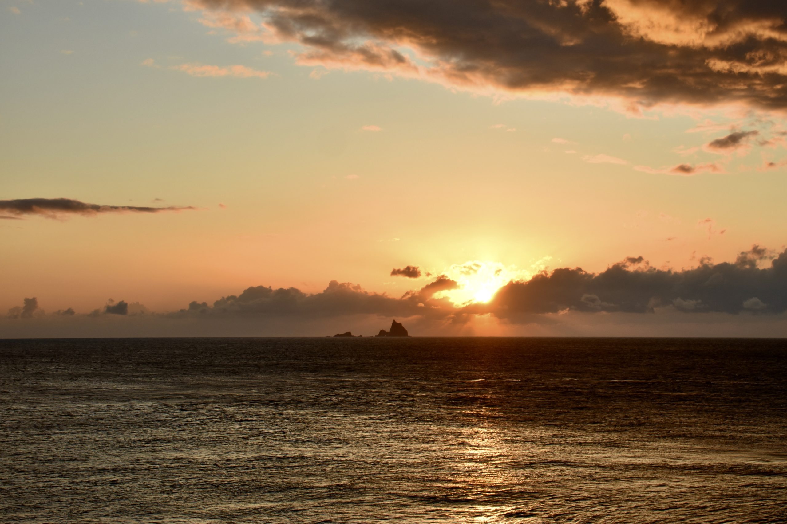 Miyakejima Island Perfect Guide- Things to do on Miyakejima island